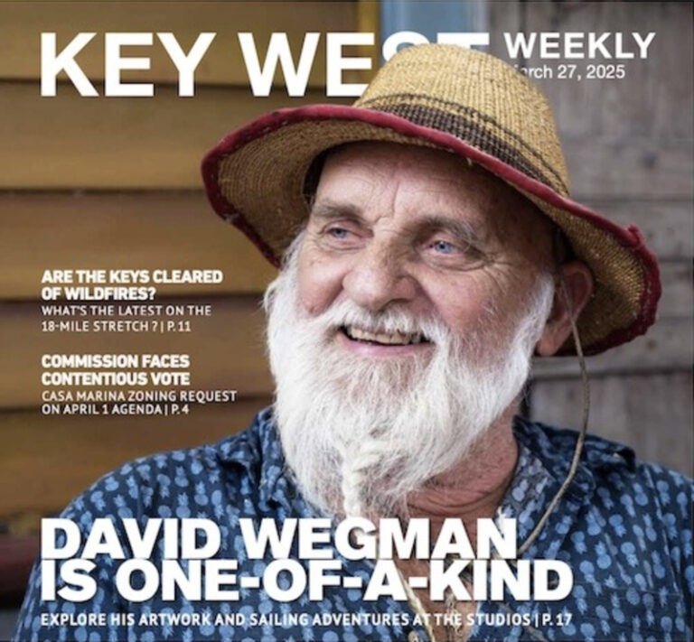 A Fifty Year Retrospective by David Wegman | The Studios of Key West